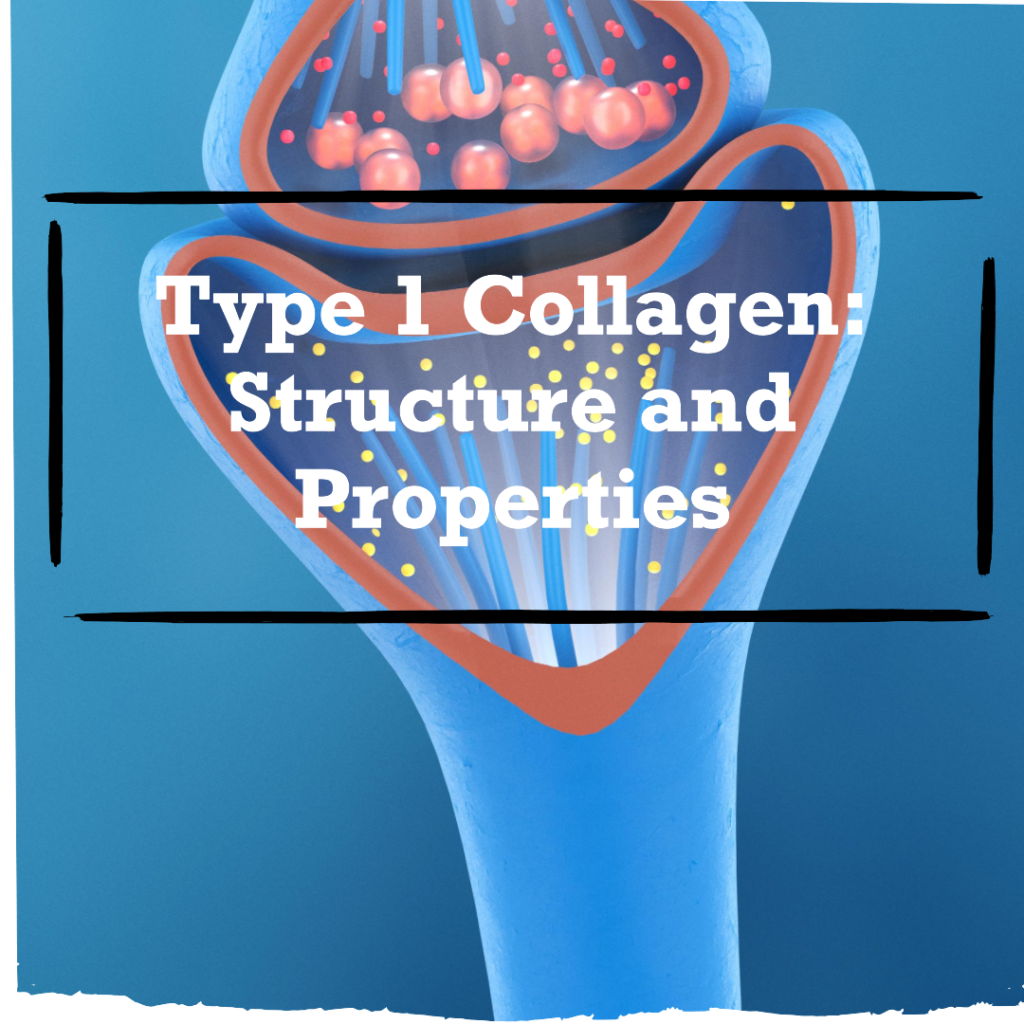 What is Type 1 collagen - Fitness Mind